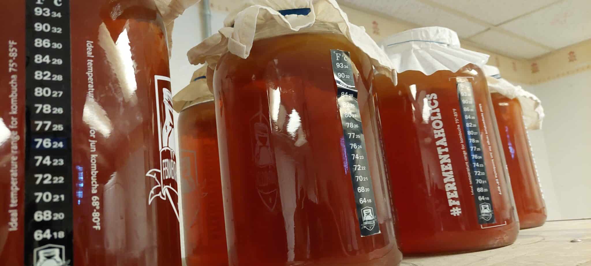 First Fermentation of Kombucha - Bucha Bros LLC